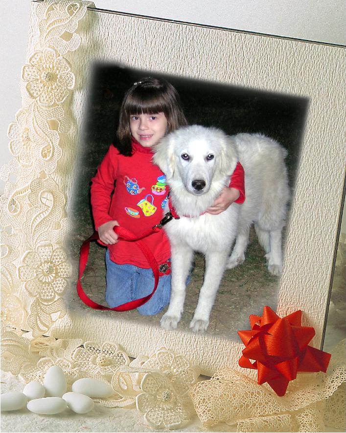 Great Pyrenees at Gentle Giants Rescue and Adoptions